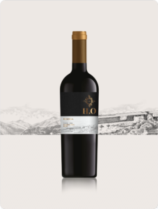 H.O Wines - Vinhos do Douro, desde 1791